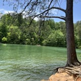 Lake Blue Ridge Loop , Georgia - 846 Reviews, Map | AllTrails