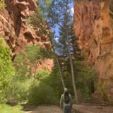 Spring Creek Canyon, Utah - 1,345 Reviews, Map | AllTrails