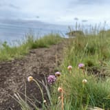 Lighthouse Point via Bowman Bay/Rosario Beach Trail, Washington - 1,894 ...
