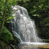 Bushkill Falls Red Trail, Pennsylvania - 615 Reviews, Map | AllTrails