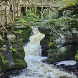 Bushkill Falls Red Trail, Pennsylvania - 615 Reviews, Map | AllTrails