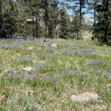 Shanahan Ridge Trail, Colorado - 3,358 Reviews, Map | AllTrails