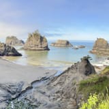 Secret Beach Trail, Oregon - 1,403 Reviews, Map | AllTrails