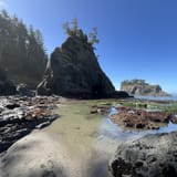 Secret Beach Trail, Oregon - 1,403 Reviews, Map | AllTrails