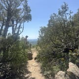 Mount Morrison Trail, Colorado - 5,855 Reviews, Map | AllTrails