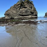 Secret Beach Trail, Oregon - 1,403 Reviews, Map | AllTrails