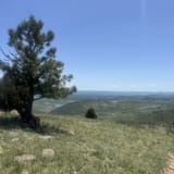 Mount Morrison Trail, Colorado - 5,855 Reviews, Map | AllTrails