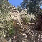 Mount Morrison Trail, Colorado - 5,855 Reviews, Map | AllTrails