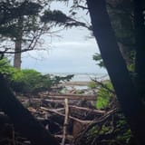 Short Sand Beach Trail, Oregon - 757 Reviews, Map | AllTrails