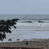 Short Sand Beach Trail, Oregon - 757 Reviews, Map | AllTrails