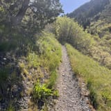 The "Y" Mountain Trail, Utah - 1,199 Reviews, Map | AllTrails