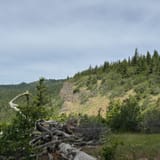 Coyote Wall Loop Trail, Washington - 2,943 Reviews, Map | AllTrails