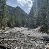 Heart Creek Trail, Alberta, Canada - 3,496 Reviews, Map | AllTrails