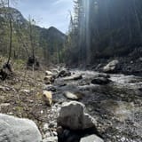 Heart Creek Trail, Alberta, Canada - 3,516 Reviews, Map | AllTrails