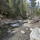 Heart Creek Trail, Alberta, Canada - 3,496 Reviews, Map | AllTrails