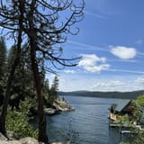 Tubbs Hill, Idaho - 4,195 Reviews, Map | AllTrails