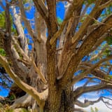 Fatmans Loop Trail, Arizona - 5,244 Reviews, Map | AllTrails