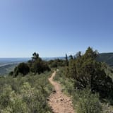 Mount Morrison Trail, Colorado - 5,855 Reviews, Map | AllTrails