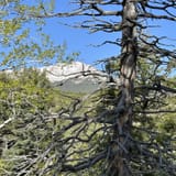 Barr Camp via Barr Trail, Colorado - 1,404 Reviews, Map | AllTrails