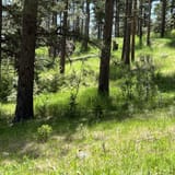 Shanahan Ridge Trail, Colorado - 3,358 Reviews, Map | AllTrails