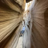 Burro Wash Trail, Utah - 264 Reviews, Map | AllTrails