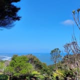 Mercer Bay Loop Track, Auckland, New Zealand - 634 Reviews, Map | AllTrails