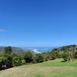 Mercer Bay Loop Track, Auckland, New Zealand - 634 Reviews, Map | AllTrails