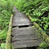 Talus Rocks Loop, Washington - 1,706 Reviews, Map | AllTrails