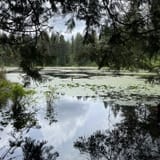 Lord Hill, Main Trail, and Temple Pond Loop Trail, Washington - 1,456 ...