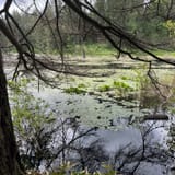 Lord Hill, Main Trail, and Temple Pond Loop Trail, Washington - 1,456 ...