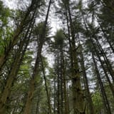 Lord Hill, Main Trail, and Temple Pond Loop Trail, Washington - 1,456 ...