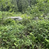 Lord Hill, Main Trail, and Temple Pond Loop Trail, Washington - 1,456 ...