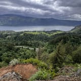 Cape Horn Loop Trail, Washington - 4,604 Reviews, Map | AllTrails