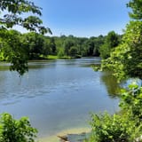 Bee Tree Lake Loop, Missouri - 546 Reviews, Map | AllTrails