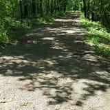 Bee Tree Lake Loop, Missouri - 546 Reviews, Map | AllTrails