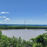 Bee Tree Lake Loop, Missouri - 546 Reviews, Map | AllTrails