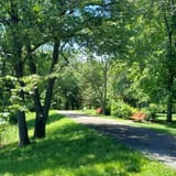 Bee Tree Lake Loop, Missouri - 546 Reviews, Map | AllTrails