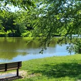 Bee Tree Lake Loop, Missouri - 546 Reviews, Map | AllTrails