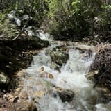 Neff's Canyon Loop, Utah - 2,624 Reviews, Map | AllTrails