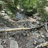 Neff's Canyon Loop, Utah - 2,640 Reviews, Map | AllTrails