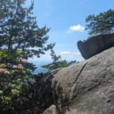 Old Rag Mountain Loop, Virginia - 13,044 Reviews, Map | AllTrails