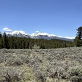 Meadow Loop and Ridge Trail, Colorado - 3,406 Reviews, Map | AllTrails