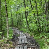 Mount Arab Trail, New York - 2,323 Reviews, Map | AllTrails