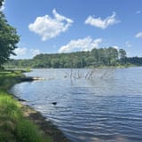 Choctaw Lake Recreation Area Loop, Mississippi - 141 Reviews, Map ...