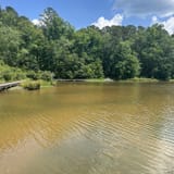 Choctaw Lake Recreation Area Loop, Mississippi - 141 Reviews, Map ...
