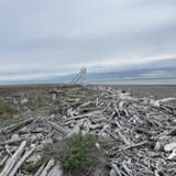 Dungeness Spit Trail, Washington - 1,576 Reviews, Map | AllTrails
