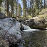 Viola Falls, California - 371 Reviews, Map | AllTrails