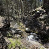 Viola Falls, California - 371 Reviews, Map | AllTrails