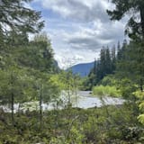 Skookum Flats Trail, Washington - 1,007 Reviews, Map | AllTrails