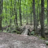 Jordan Valley Pathway, Michigan - 739 Reviews, Map | AllTrails